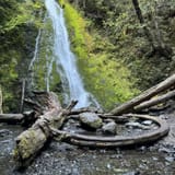 Madison Falls Trail, Washington - 1,677 Reviews, Map | AllTrails