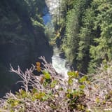Wallace Falls and Wallace Lake Loop, Washington - 1,355 Reviews, Map ...