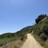 Beaudry Loop, California - 5,326 Reviews, Map | AllTrails
