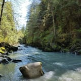 Boulder River Trail, Washington - 1,812 Reviews, Map | AllTrails
