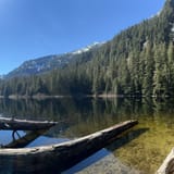 Barclay Lake Trail, Washington - 1,906 Reviews, Map | AllTrails