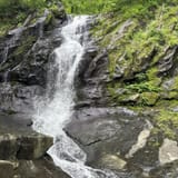 Jones Run Falls Trail, Virginia - 852 Reviews, Map | AllTrails