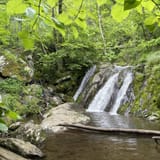Jones Run Falls Trail, Virginia - 852 Reviews, Map | AllTrails