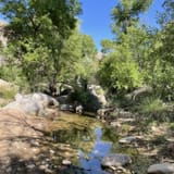 Picketpost Loop via Arizona Trail and L.O.S.T Trail, Arizona - 1,538 ...