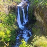Oneonta Trail, Oregon - 719 Reviews, Map | AllTrails