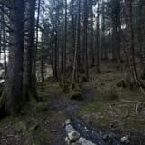 Tonsina Creek Trail, Alaska - 1,380 Reviews, Map | AllTrails