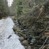 Tonsina Creek Trail, Alaska - 1,380 Reviews, Map | AllTrails