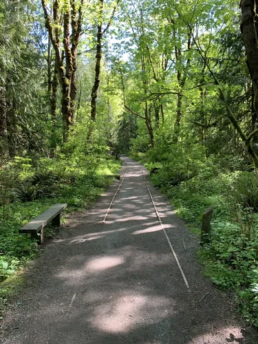 Best Partially Paved Trails in Issaquah | AllTrails