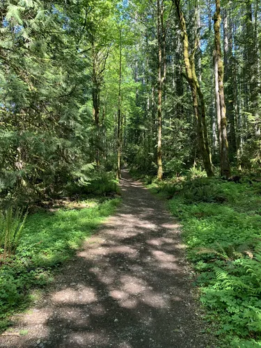 Best Partially Paved Trails in Issaquah | AllTrails