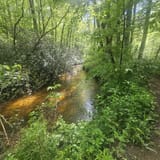 John Rock Trail Loop, North Carolina - 2,334 Reviews, Map | AllTrails