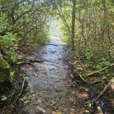 John Rock Trail Loop, North Carolina - 2,334 Reviews, Map | AllTrails