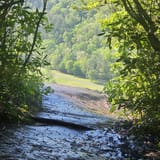John Rock Trail Loop, North Carolina - 2,334 Reviews, Map | AllTrails