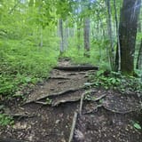 John Rock Trail Loop, North Carolina - 2,334 Reviews, Map | AllTrails