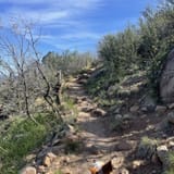 Fatmans Loop Trail, Arizona - 5,226 Reviews, Map | AllTrails
