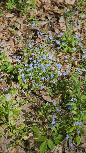 Best Kid Friendly Trails in Cresco | AllTrails