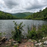 Lake Trahlyta Trail, Georgia - 957 Reviews, Map | AllTrails
