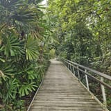 Southern Ridges and Labrador Park Loop, Central, Singapore - 455 ...