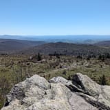 Wilburn Ridge via Appalachian Trail, Virginia - 2,035 Reviews, Map ...