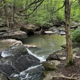 Nine Penny Branch Loop, Indiana - 632 Reviews, Map | AllTrails
