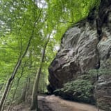 Raven Rock Loop Trail, North Carolina - 2,582 Reviews, Map | AllTrails