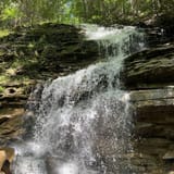 Devil's Racetrack Trail, Tennessee - 599 Reviews, Map | AllTrails