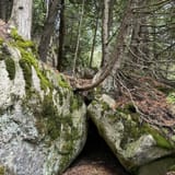 Flowerpot Island Loop Trail, Ontario, Canada - 593 Reviews, Map | AllTrails
