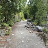 Flowerpot Island Loop Trail, Ontario, Canada - 593 Reviews, Map | AllTrails