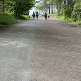 Old Pale Hill and Delamere Forest, Cheshire, England - 1,032 Reviews ...