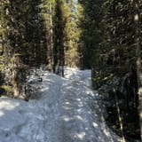 Fairview Lookout, Alberta, Canada - 1,920 Reviews, Map | AllTrails