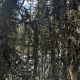 Fairview Lookout, Alberta, Canada - 1,897 Reviews, Map | AllTrails