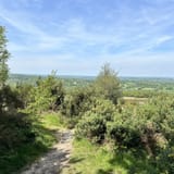 Ashdown Forest Extended Walk, East Sussex, England - 243 Reviews, Map ...
