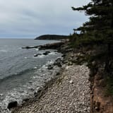 Ocean Path Trail, Maine - 3,467 Reviews, Map | AllTrails