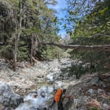 Third Stream Crossing via Middle Fork Trail, California - 758 Reviews ...