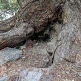 Third Stream Crossing via Middle Fork Trail, California - 758 Reviews ...