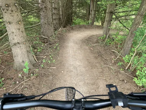 Best Wild Flowers Trails in Three Rivers | AllTrails