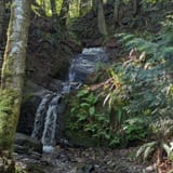 Chuckanut Falls, Washington - 543 Reviews, Map | AllTrails