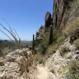 Romero Canyon Trail to Romero Pools, Arizona - 4,011 Reviews, Map ...