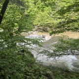 Laurel River Trail, North Carolina - 1,396 Reviews, Map | AllTrails
