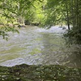 Laurel River Trail, North Carolina - 1,421 Reviews, Map | AllTrails