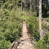 Tubbs Hill, Idaho - 4,146 Reviews, Map | AllTrails
