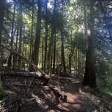 Tradition Lake Loop Trail, Washington - 1,587 Reviews, Map | AllTrails