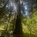 Tradition Lake Loop Trail, Washington - 1,618 Reviews, Map | AllTrails