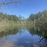 Tradition Lake Loop Trail, Washington - 1,618 Reviews, Map | AllTrails