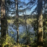 Tradition Lake Loop Trail, Washington - 1,557 Reviews, Map | AllTrails
