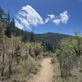 Chamisa Trail, New Mexico - 1,411 Reviews, Map | AllTrails