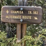 Chamisa Trail, New Mexico - 1,412 Reviews, Map | AllTrails