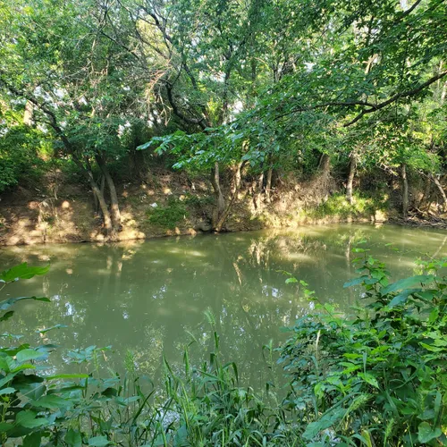 Best Mountain Biking Trails in Rowlett Creek Preserve | AllTrails