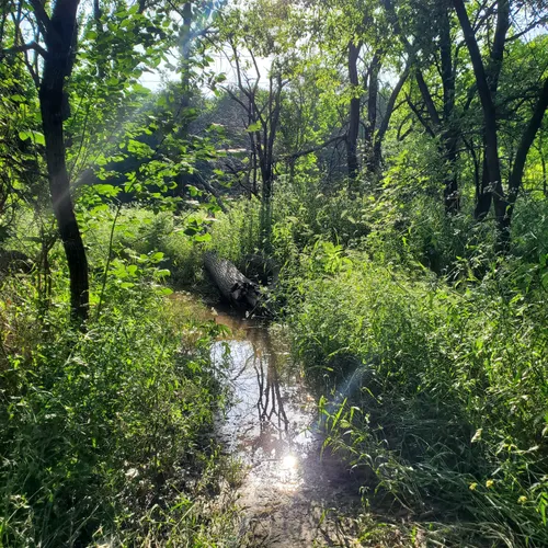 Best Mountain Biking Trails in Rowlett Creek Preserve | AllTrails