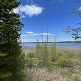 Tobico Marsh Trail, Michigan - 648 Reviews, Map | AllTrails