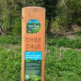 Chee Dale Gorge Circular, Derbyshire, England - 1,403 Reviews, Map ...